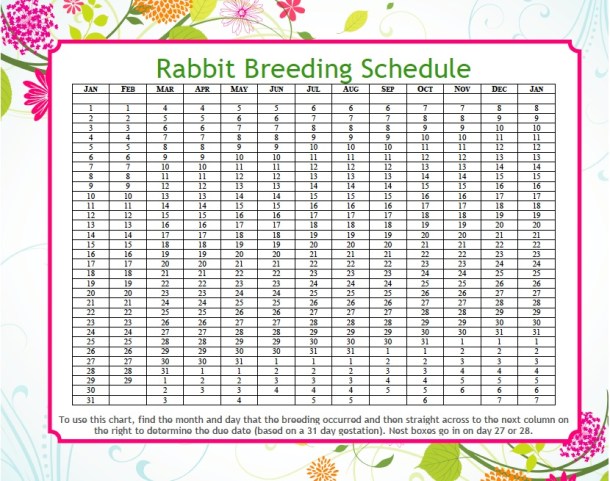 Rabbit Due Date Calculator | Mad Hatter Rabbits & MicroFarm